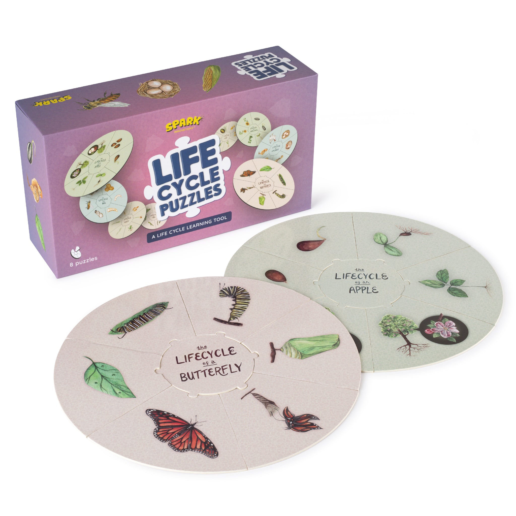 Life Cycle Puzzles – The Spark Innovations