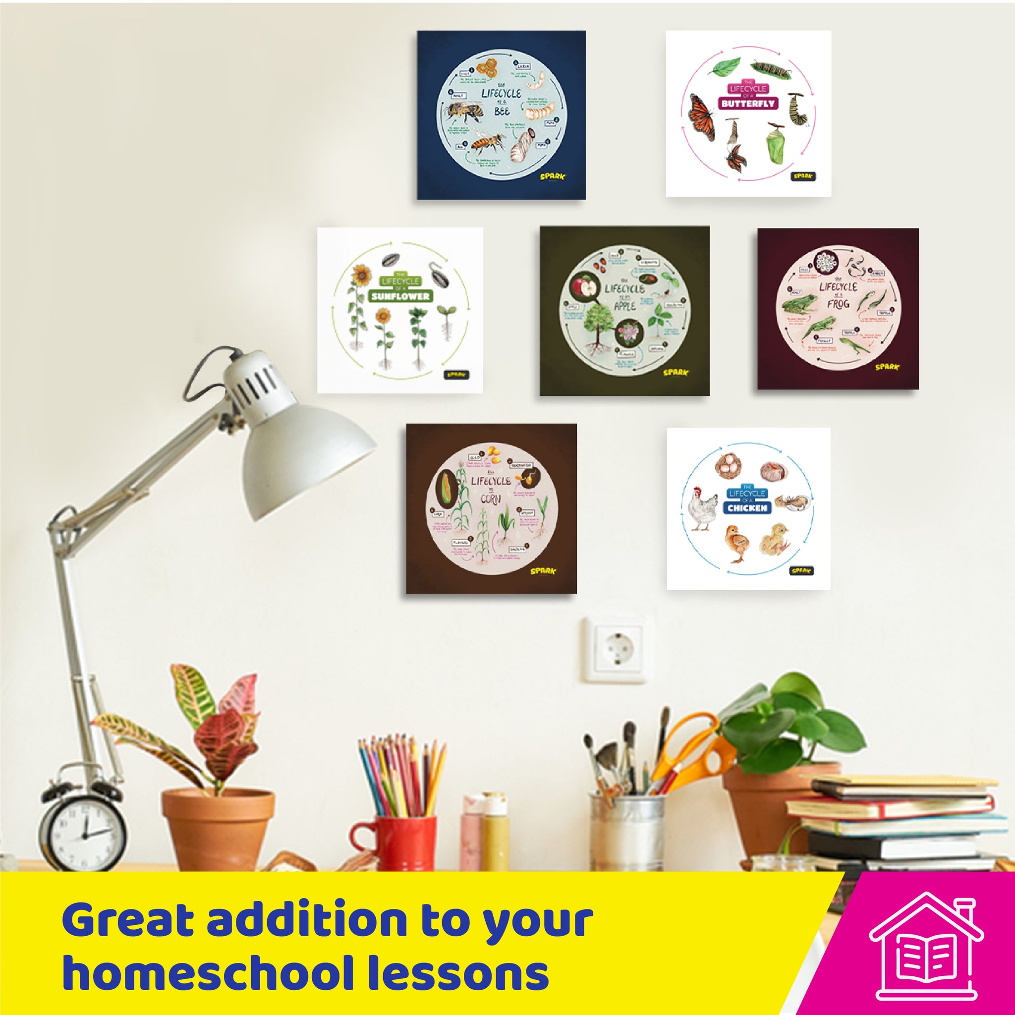 LifeCycles Poster Set – The Spark Innovations